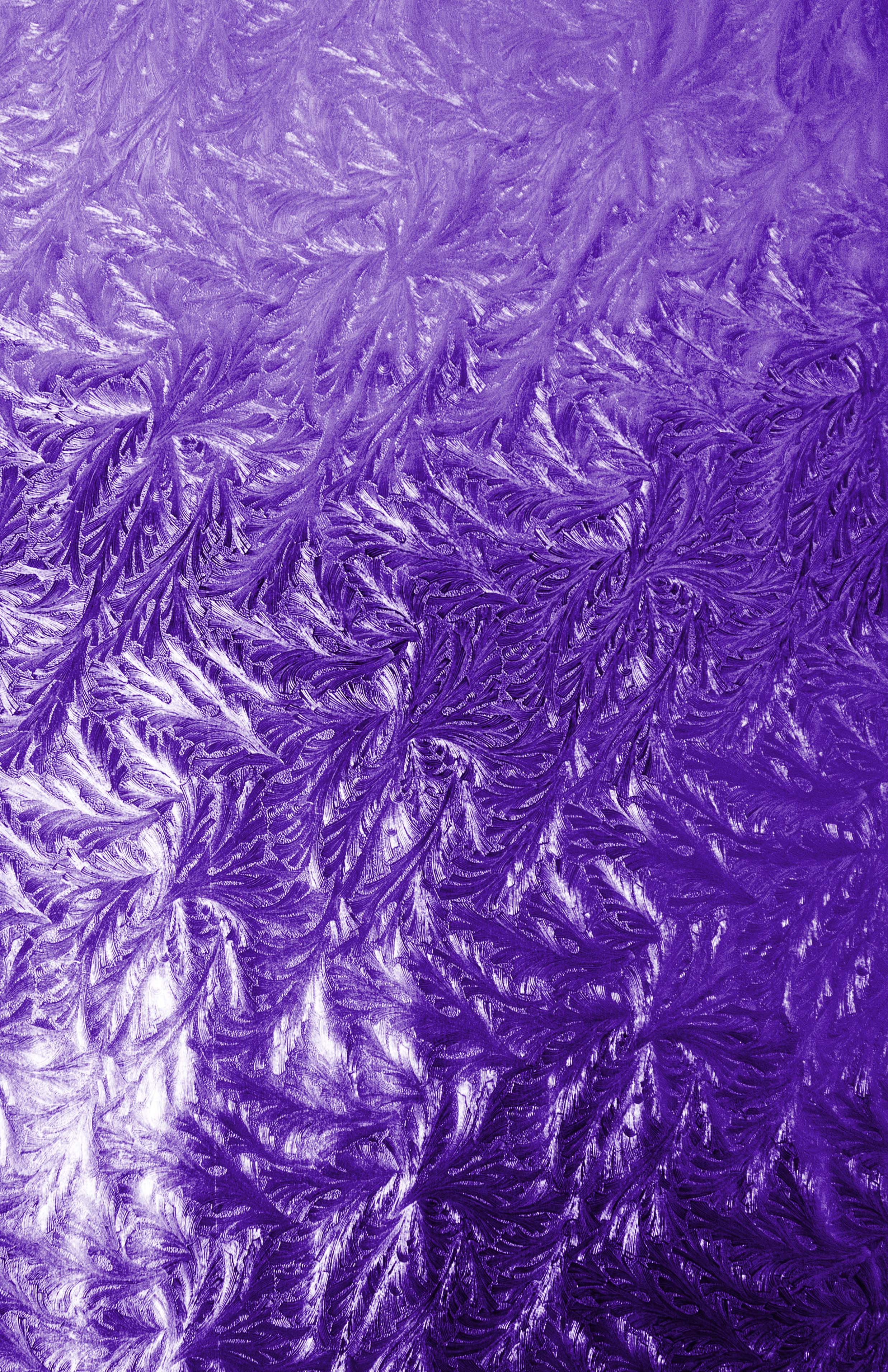 Purple Akita Gift Wrap | Innovative Packaging Group LLC